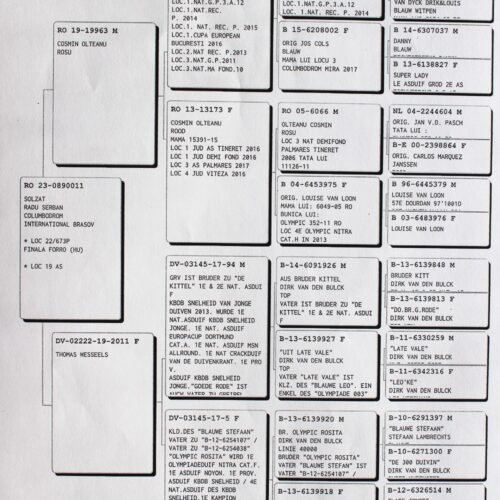 RADU SERBAN – Derby Internacional Brasov OLR